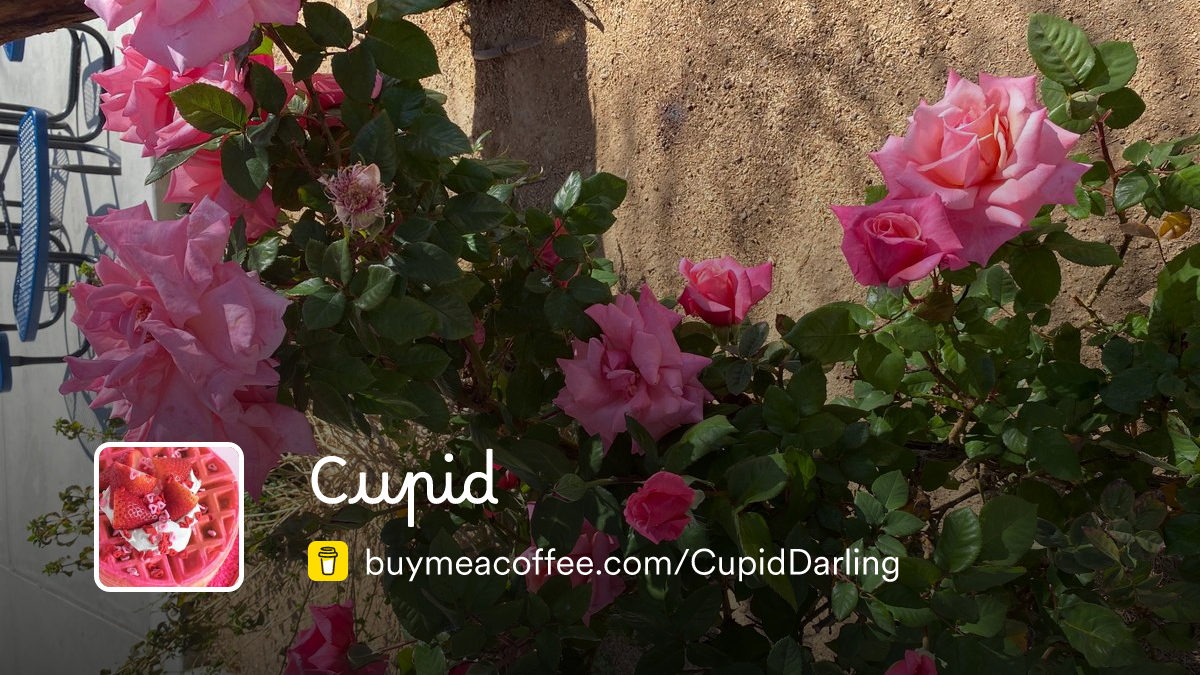 Cupid is creating art / doing commissions! :) 🫶🏾🩷 - Buymeacoffee