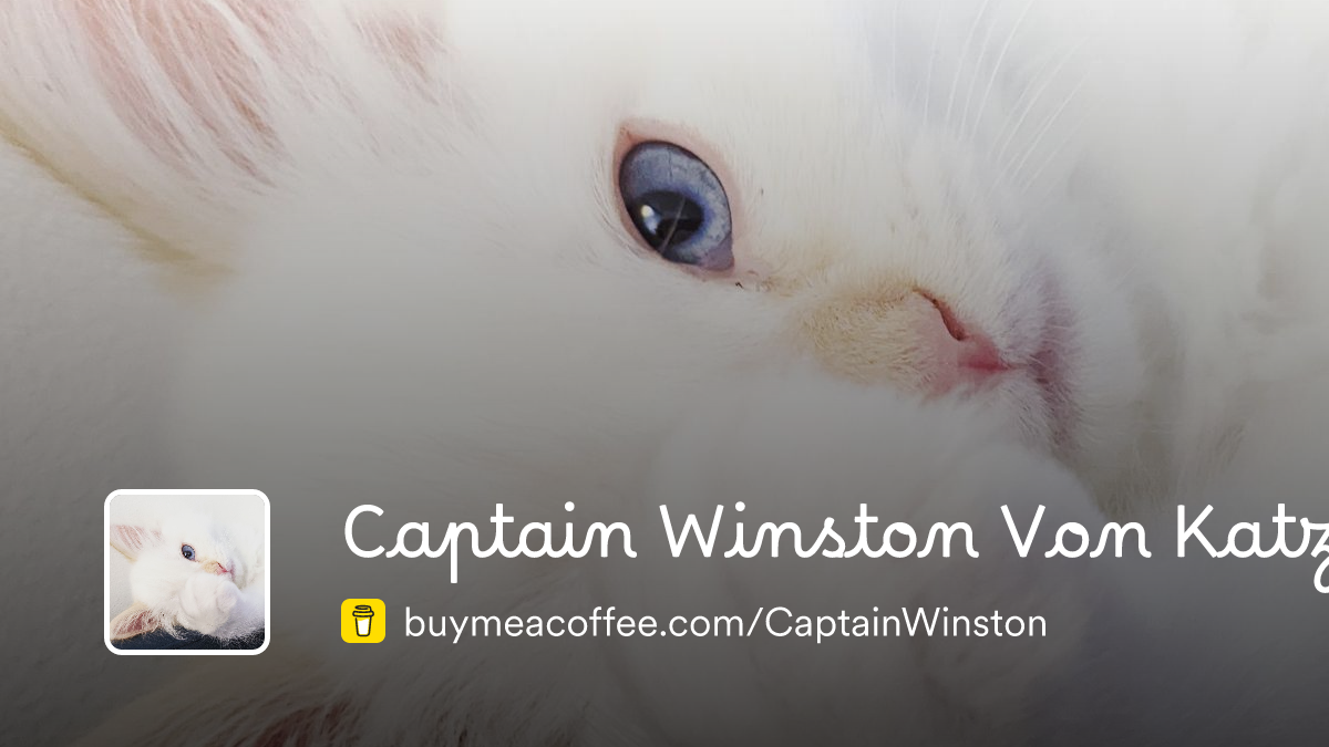 Captain Winston Von Katze - Buymeacoffee