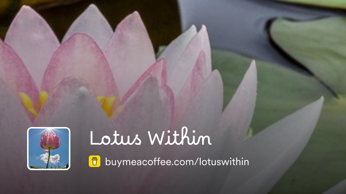 Lotus Within is Tarot readings - Buymeacoffee