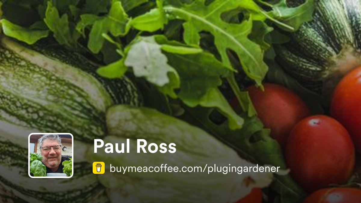 Paul Ross is Providing fresh vegetables - Vegetable Gardening Tips and ...