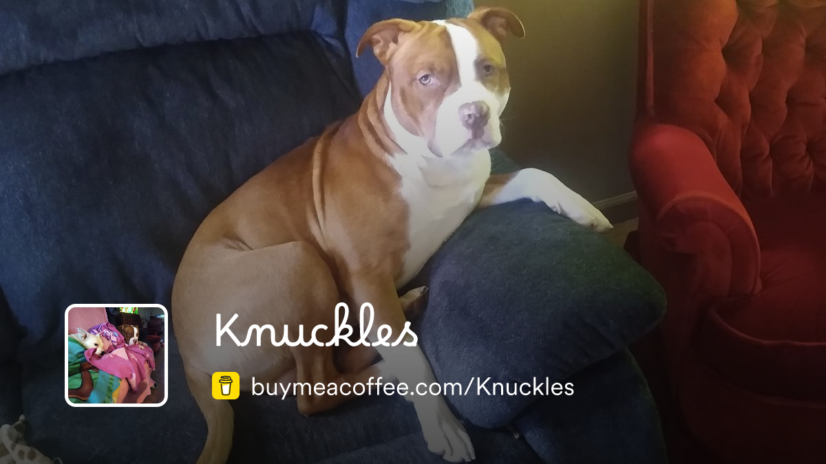 Knuckles is A world full of love ♥️ - Buymeacoffee