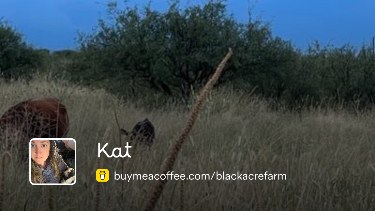 Kat - Buymeacoffee