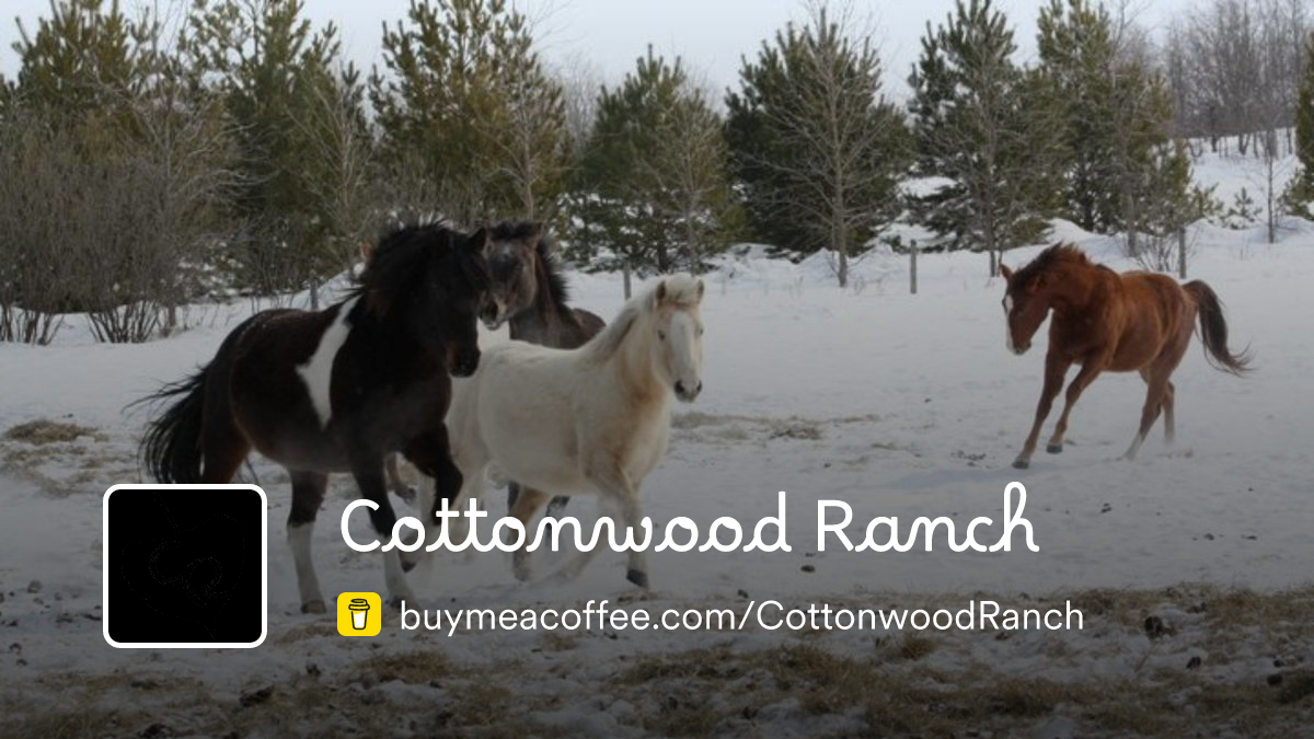 Cottonwood Ranch is creating youtube content. - Buymeacoffee