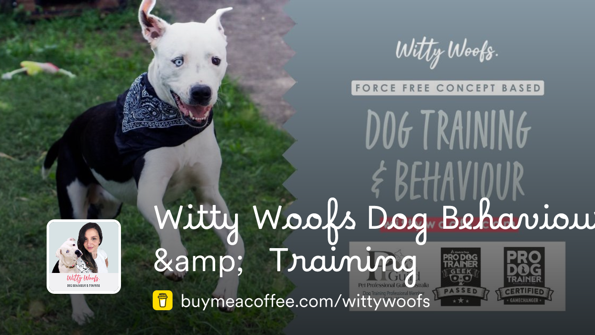 Witty Woofs Dog Behaviour & Training is helping dogs and dog owners ...