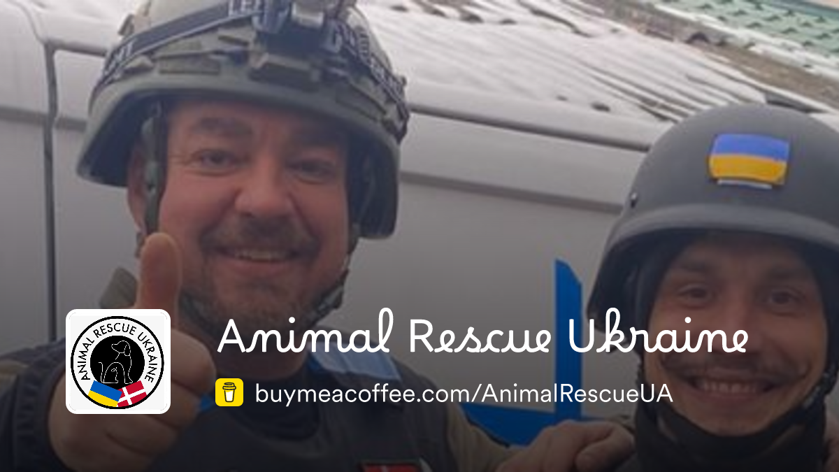 Gallery | Animal Rescue Ukraine - Buymeacoffee