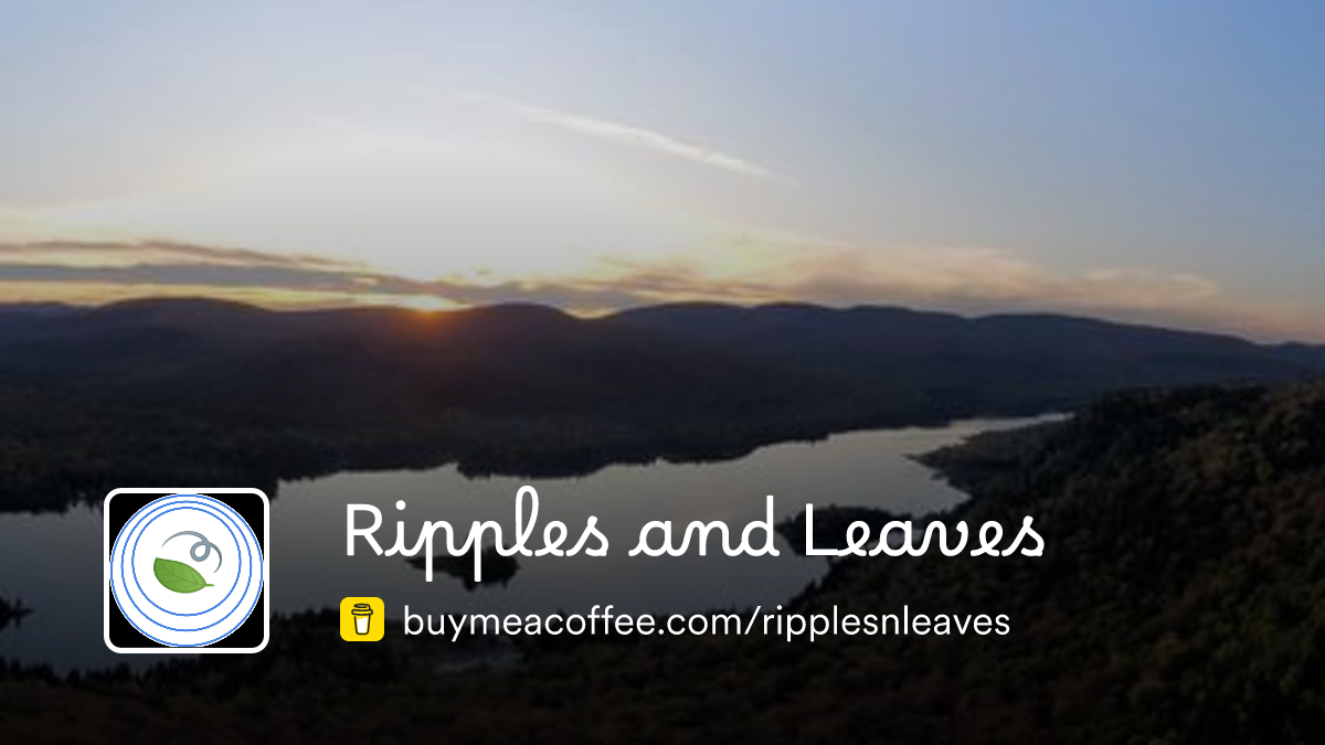 Ripples and Leaves is a bit of joy for your soul! Nature, solar ...