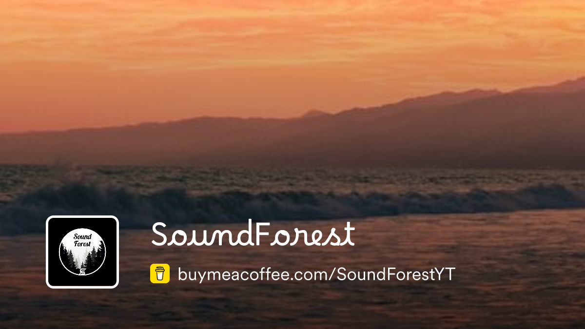 SoundForest is Creating 4k Lyrics Videos! - Buymeacoffee