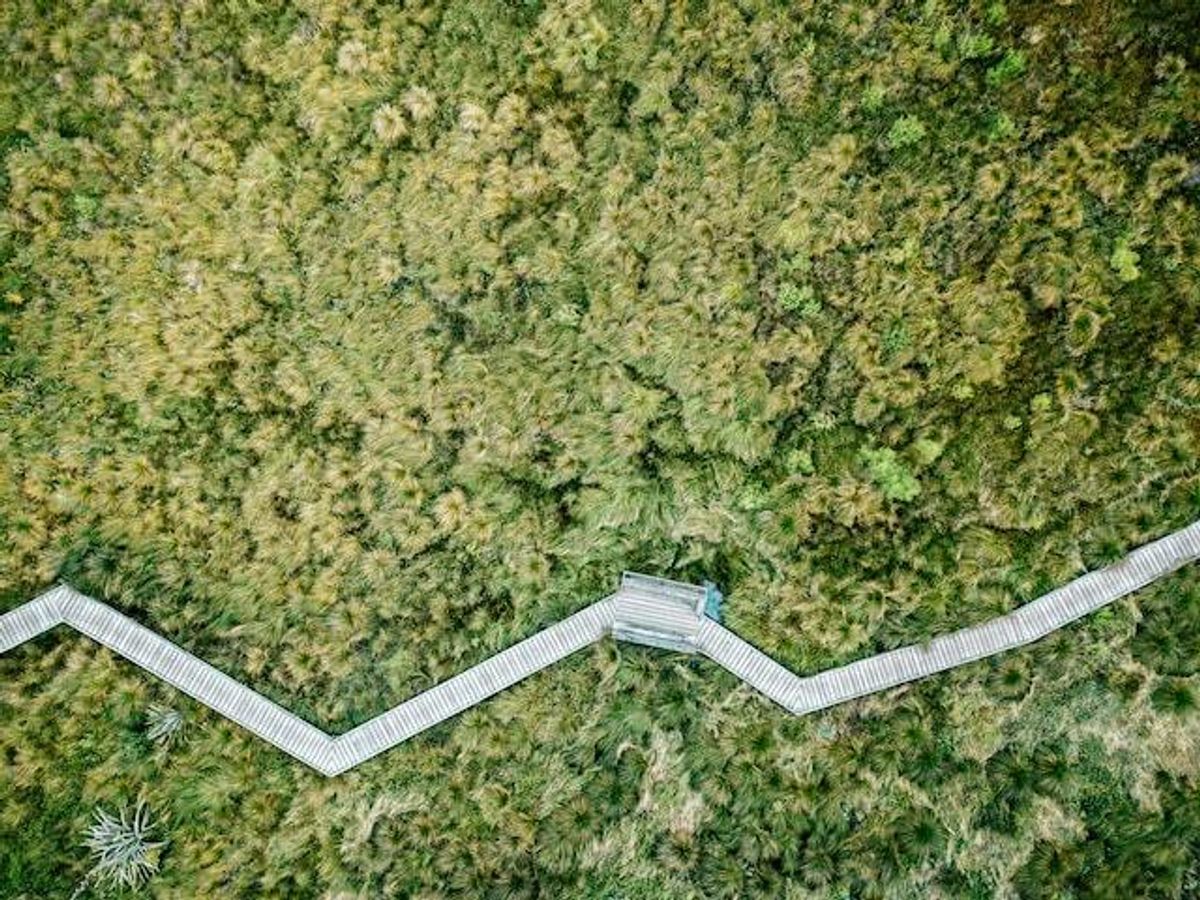 Data Science Career — Data Science Journey - Buymeacoffee Data Science Career — Data Science Journey - Buymeacoffee