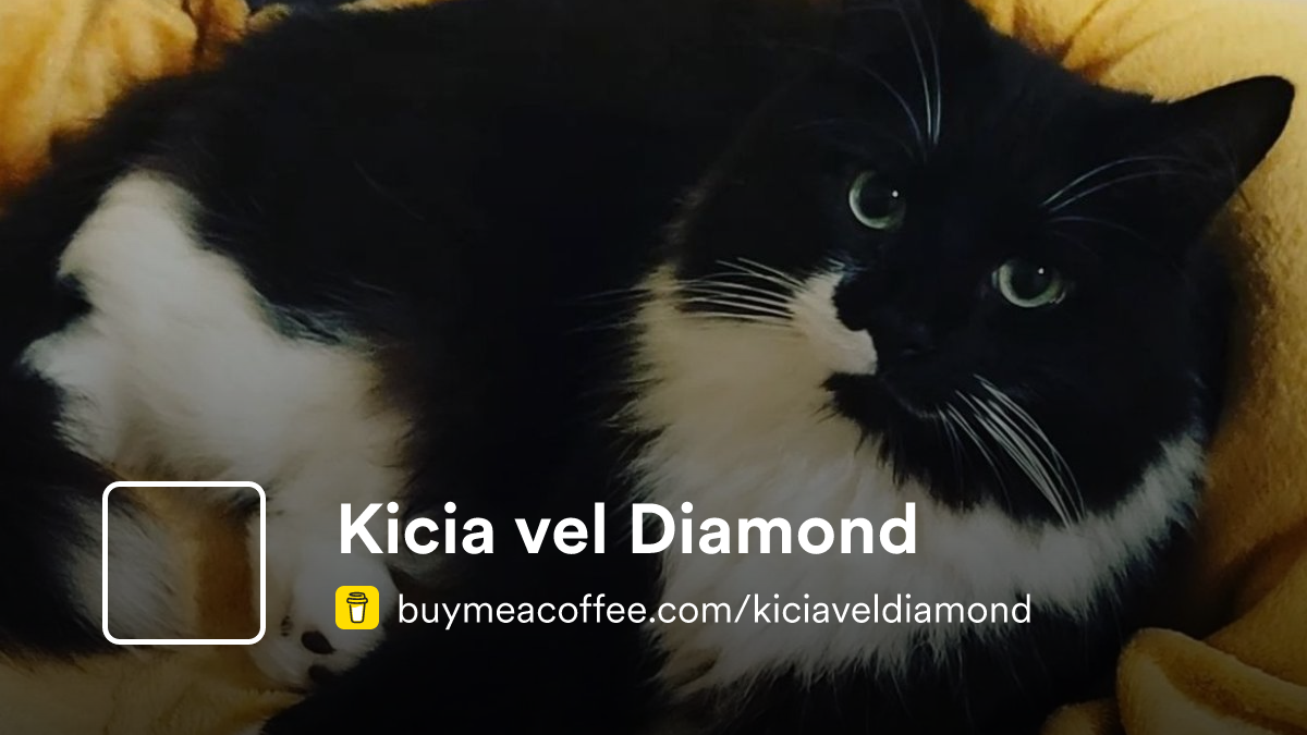 Kicia vel Diamond - Buymeacoffee