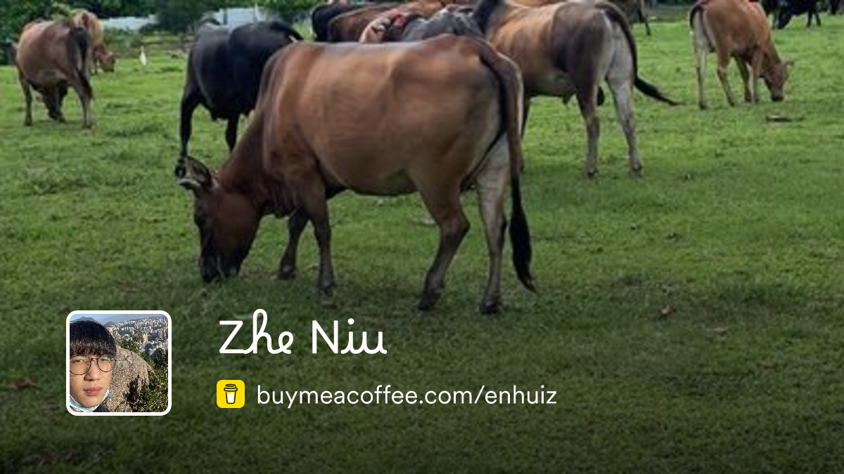 Zhe Niu - Buymeacoffee