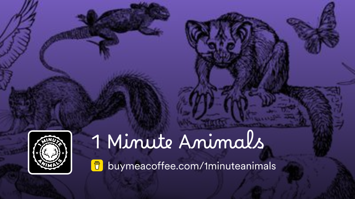 1 Minute Animals is making educational videos about animals in 1 minute ...