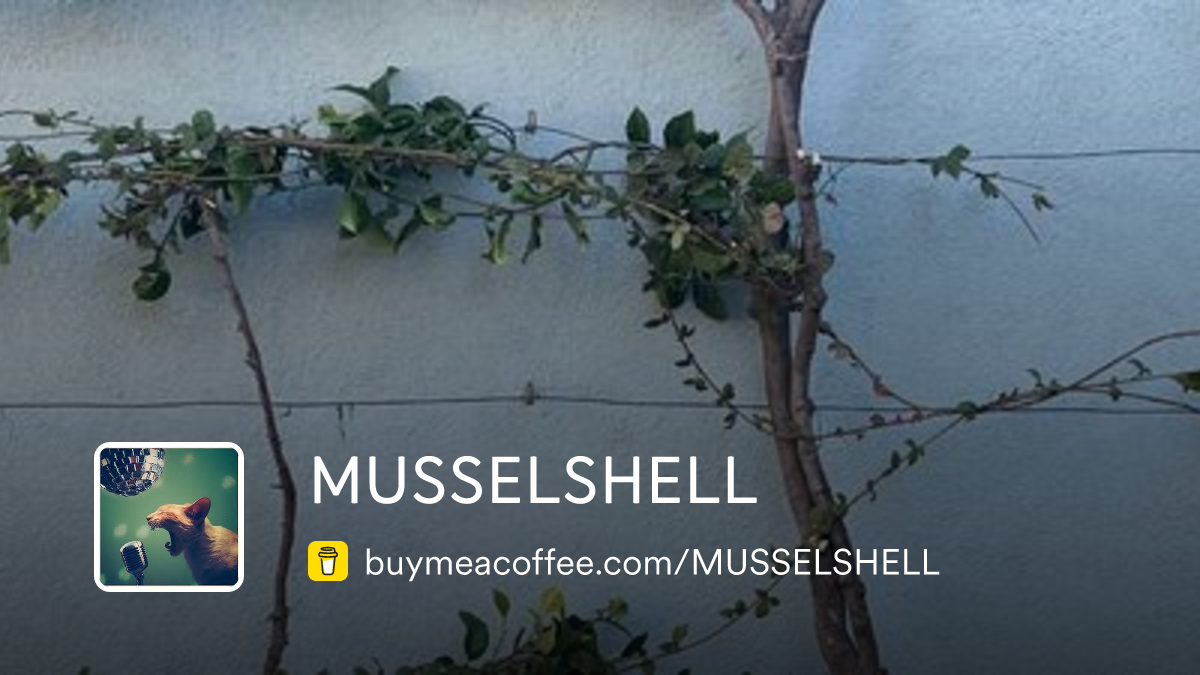 MUSSELSHELL is LOVES MUSIC AND COINS ALONG WITH A GREAT COFFEE ...