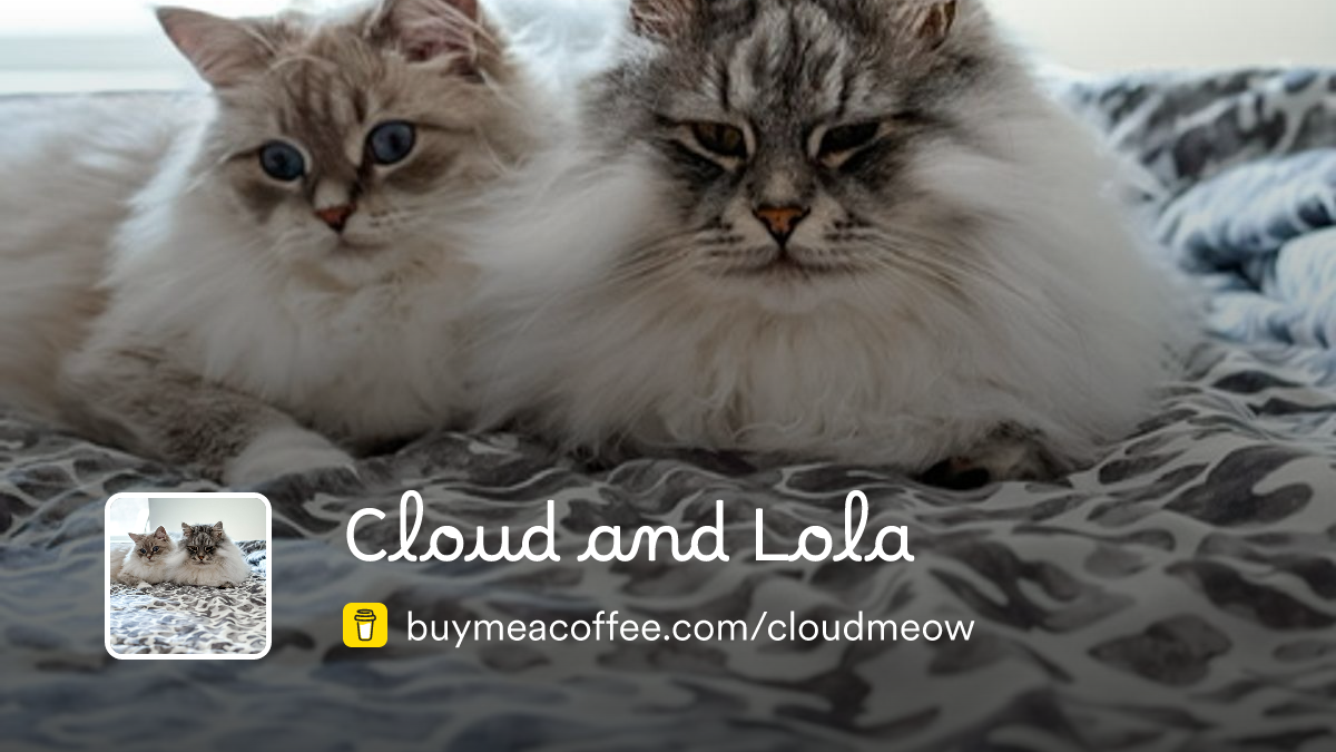 Cloud and Lola is Video creator - Buymeacoffee