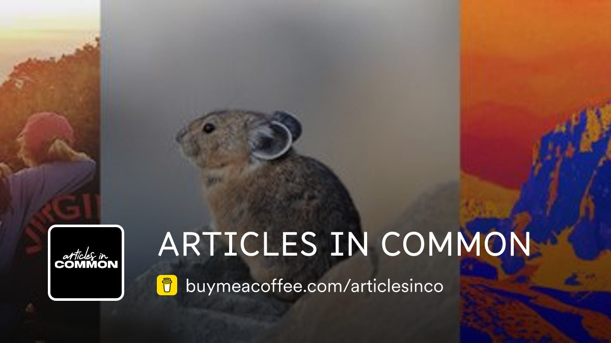 ARTICLES IN COMMON is a better way to shop outdoor gear & apparel ...