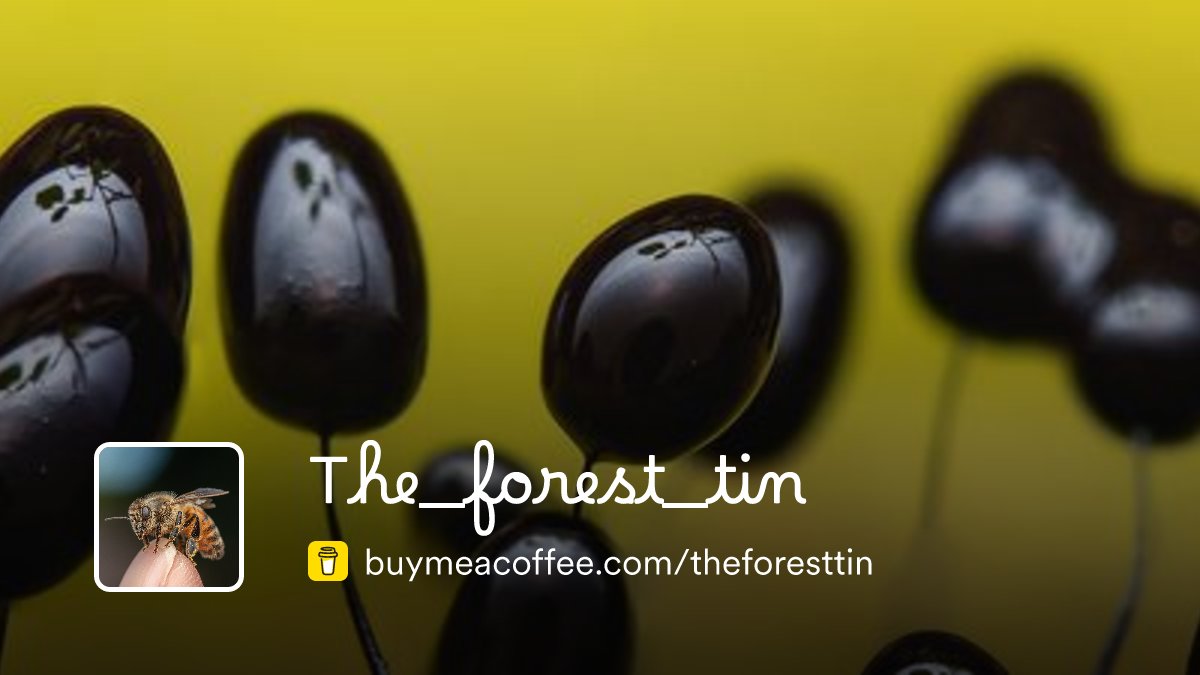 The_forest_tin - Buymeacoffee