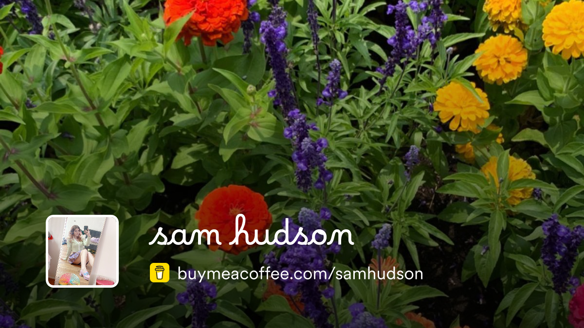 sam hudson - Buymeacoffee
