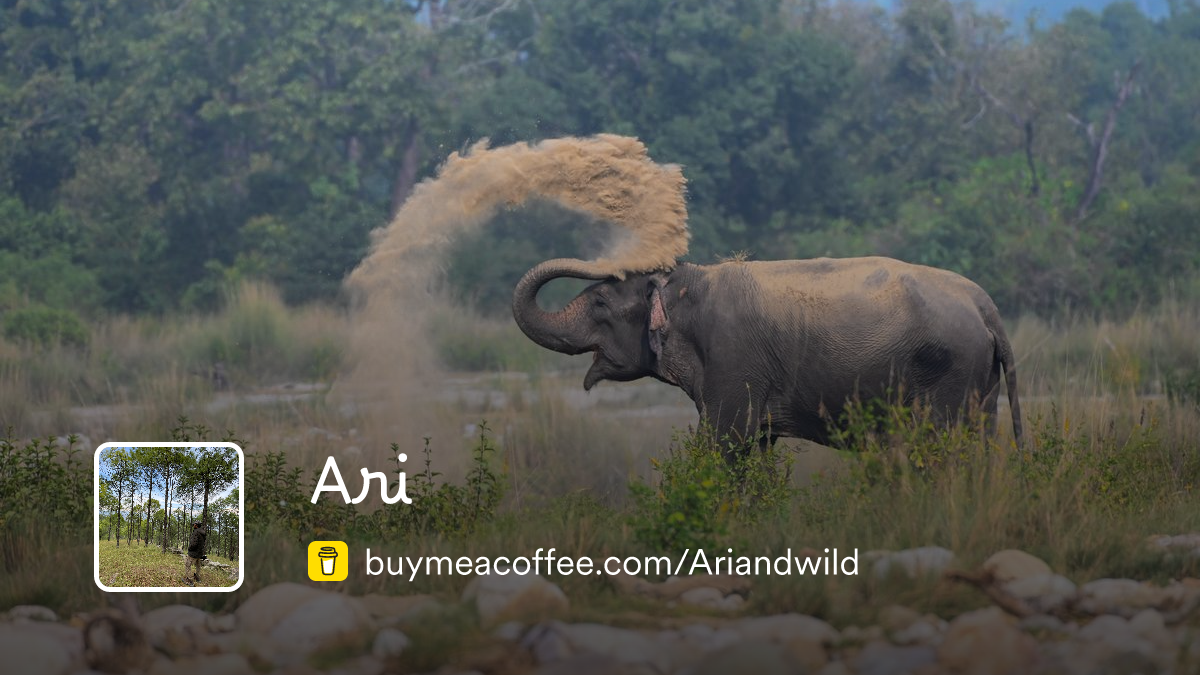 Ari is a wildlife photographer and Nature enthusiast. - Buymeacoffee