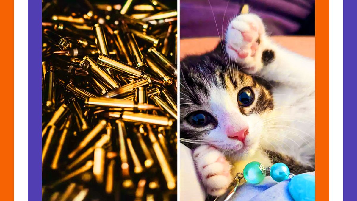 🔴LIVE NOW: The NPC Show — The NPC Show - Buymeacoffee