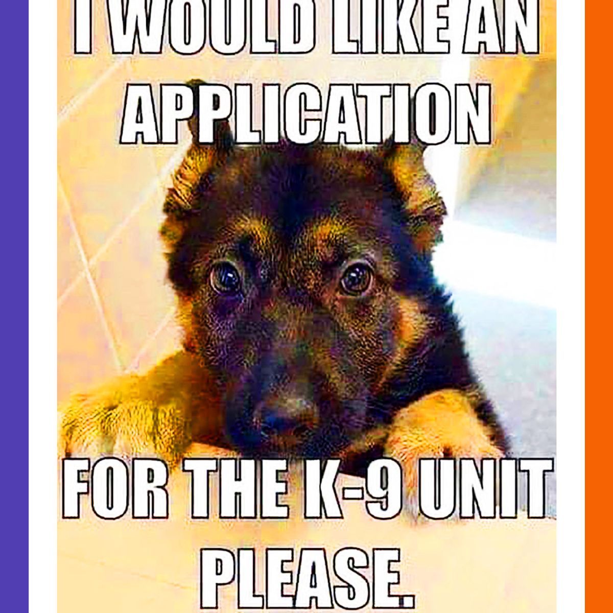Application For The K9 Unit — The NPC Show - Buymeacoffee