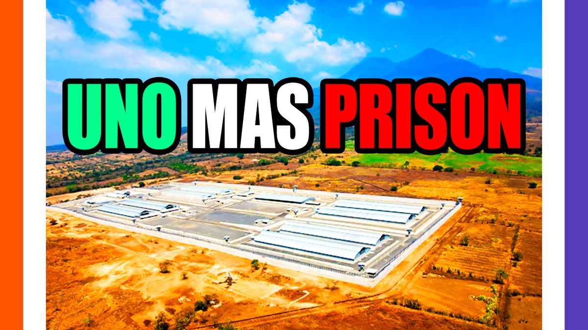 🔴LIVE at 12:15 EST: The NPC Show 🥤😃🍿 — The NPC Show - Buymeacoffee