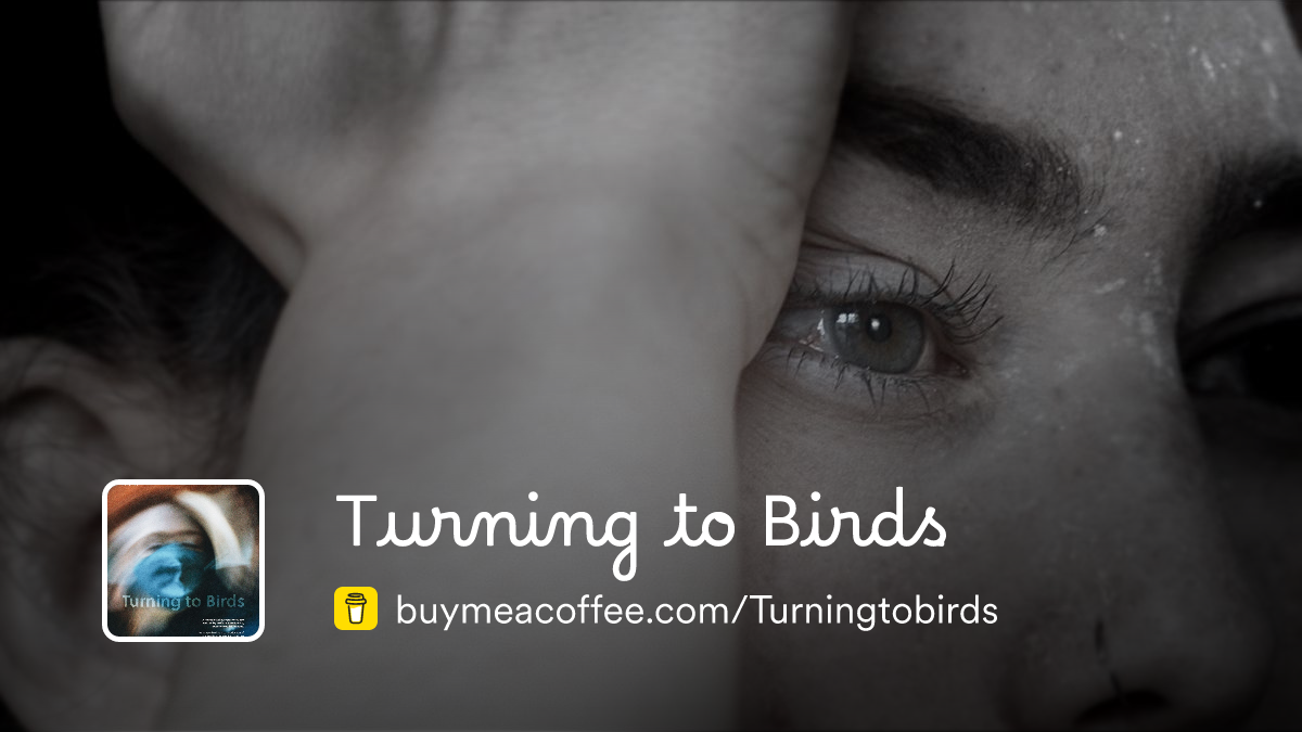Turning to Birds is Series of films - Buymeacoffee