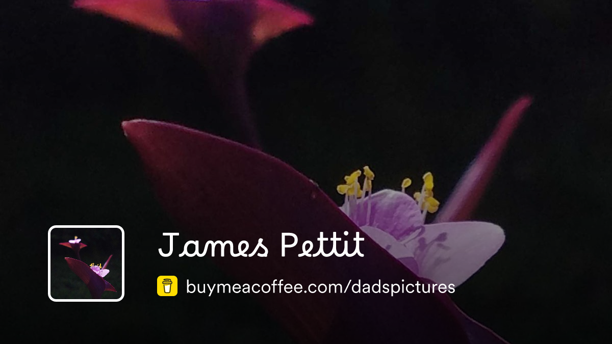 James Pettit is landscape, perspective, and nature photographs ...