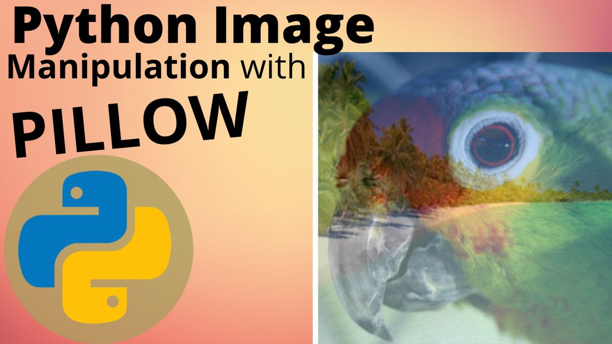 How To Python Image Manipulation With Pillow And Matplotlib Basics — Mrfugudatasci Buymeacoffee