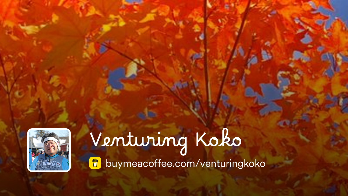 Venturing Koko is making videos about investments, outdoor sports, and ...