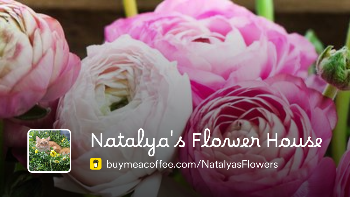 Natalya's Flower House - Buymeacoffee