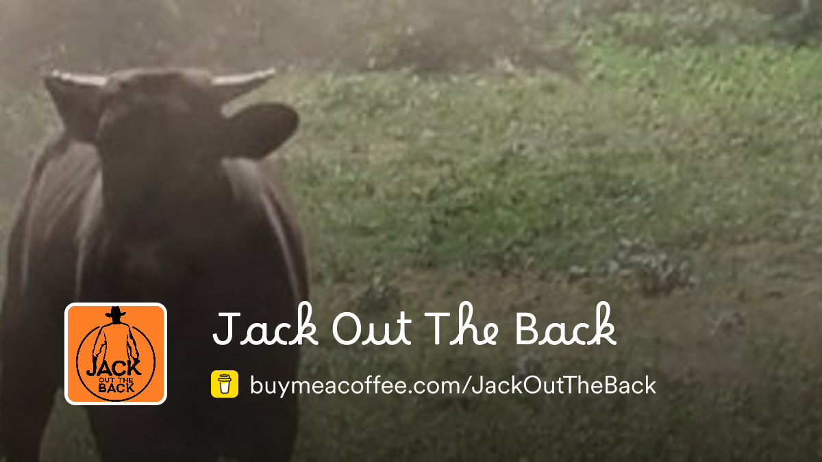 Jack Out The Back - Buymeacoffee