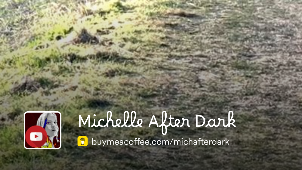 Michelle After Dark is YouTube creator, featuring true crime and ...