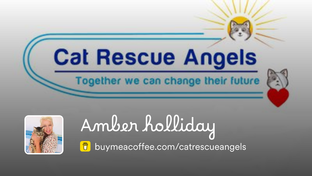 Amber holliday is creating content related to my life saving cat rescue ...