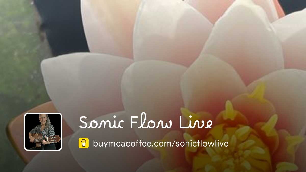 Sonic Flow Live is music, beautiful music that lives beyond the ...