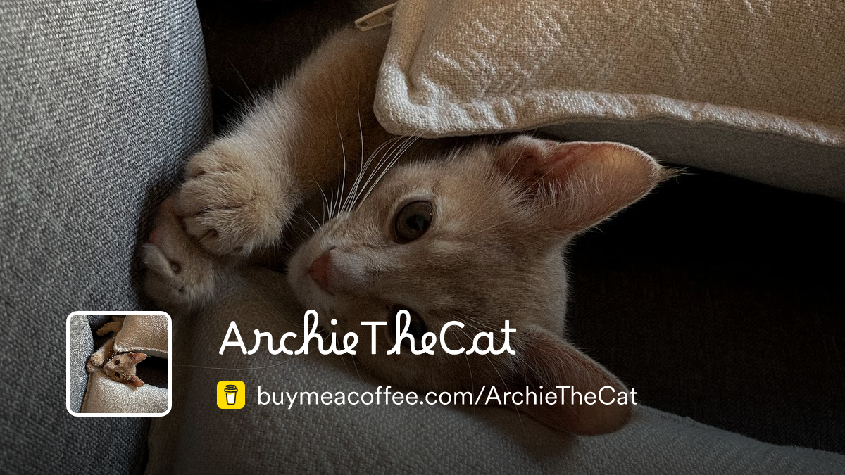ArchieTheCat is creating content of my cat Archie - Buymeacoffee