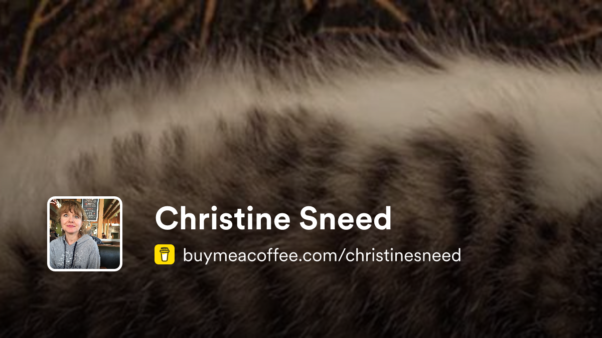 Christine Sneed is Sharing resources for writers and other creators ...