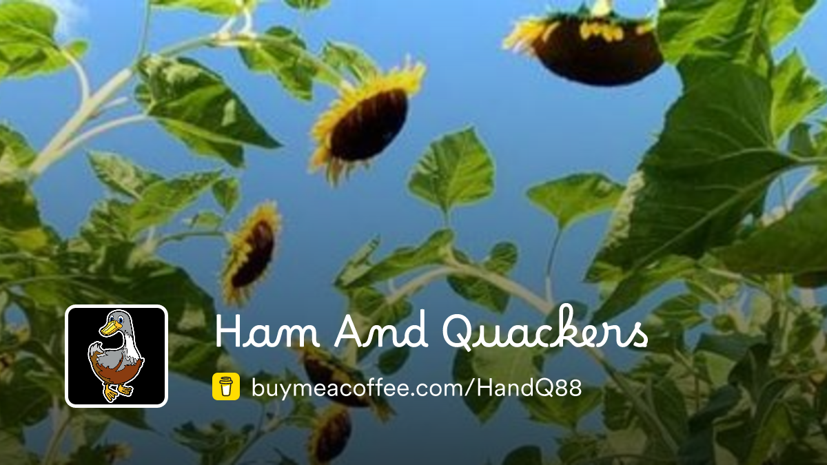 Ham And Quackers is Making connections in the ham radio community ...