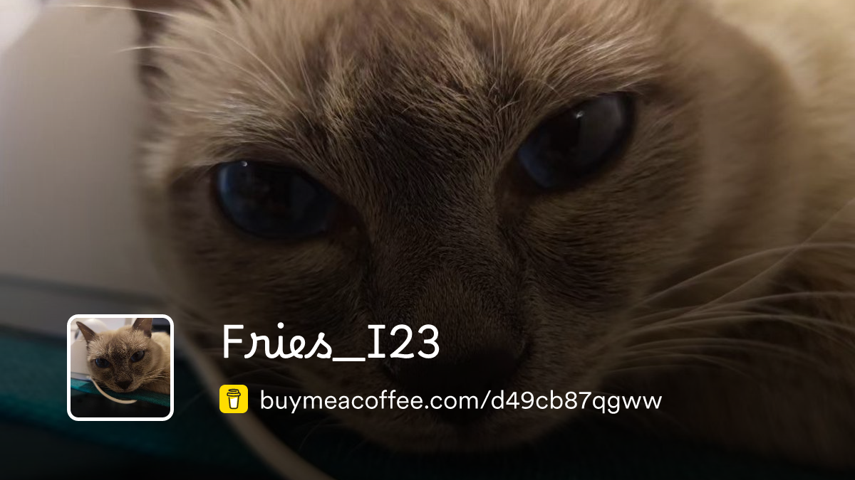 Fries_I23 is Full Stack Programmer - Buymeacoffee