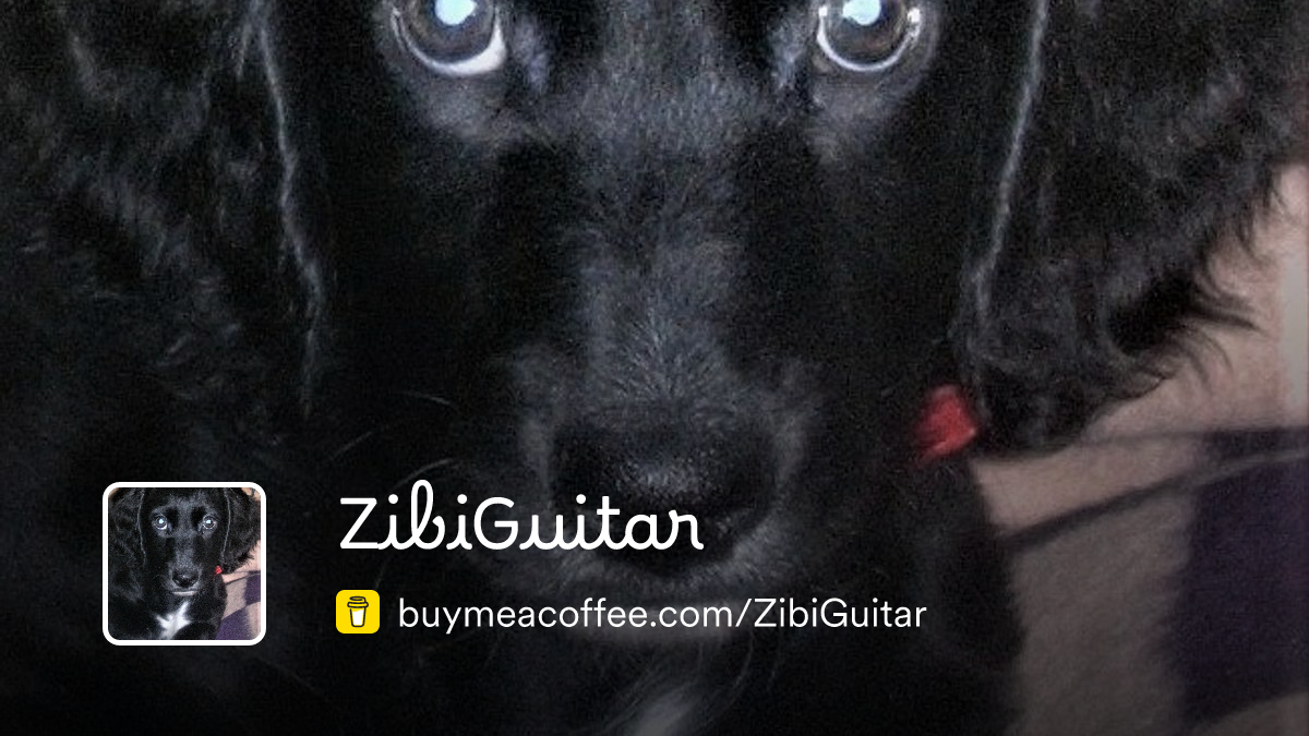 ZibiGuitar is BACKING TRACKS MUSIC ,KARAOKE, ISOLATED MUSIC TRACKS ...