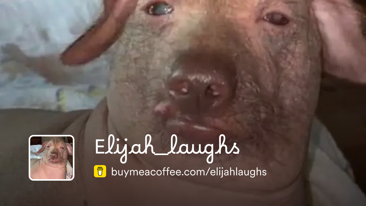 Elijah_laughs is Entertainment - Buymeacoffee