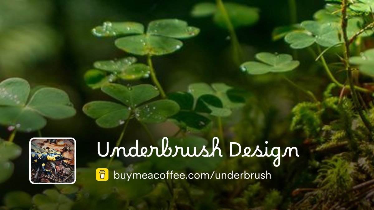 Underbrush Design is native terrariums designer - Buymeacoffee