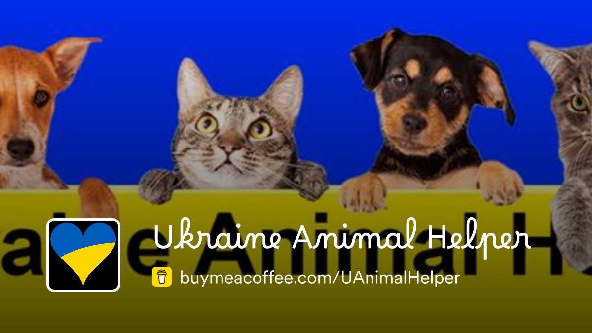 Ukraine Animal Helper is Support Our Mission to Feed Stray Cats and ...