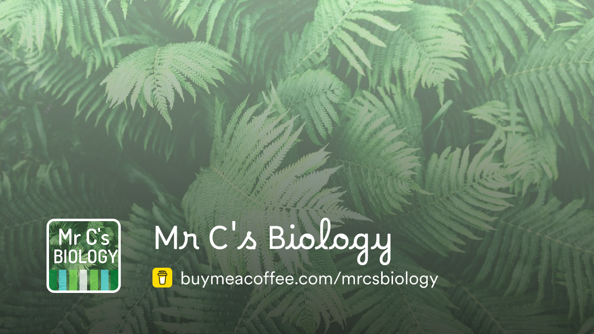 Mr C's Biology is making interesting and educational biology YouTube ...