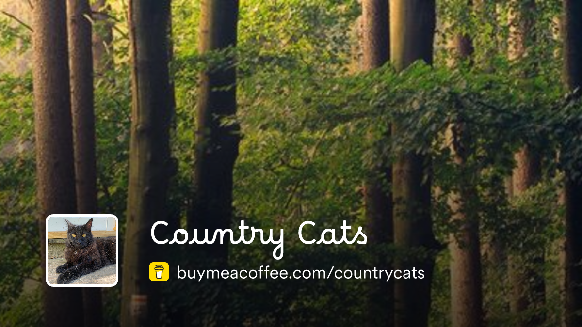 Country Cats - Buymeacoffee