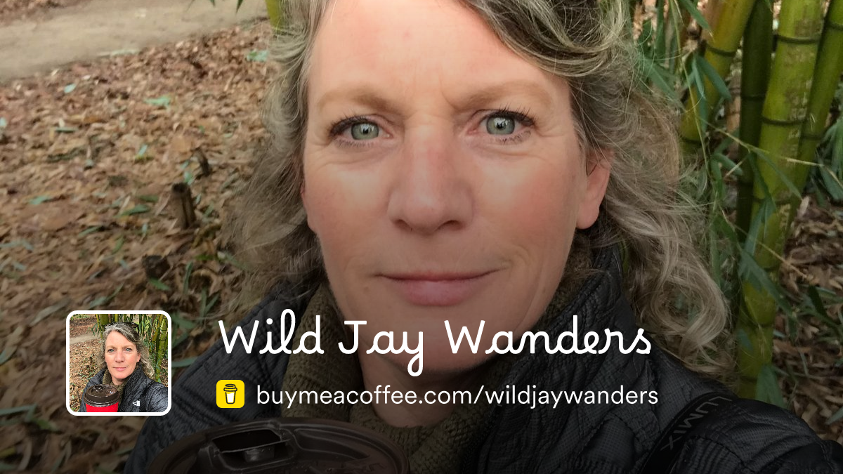 Wild Jay Wanders is Virtual Tours - Buymeacoffee