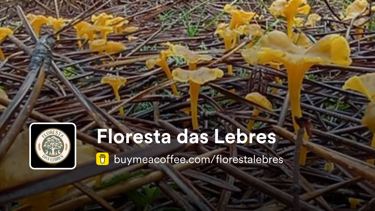 Extras | Floresta das Lebres - Buymeacoffee