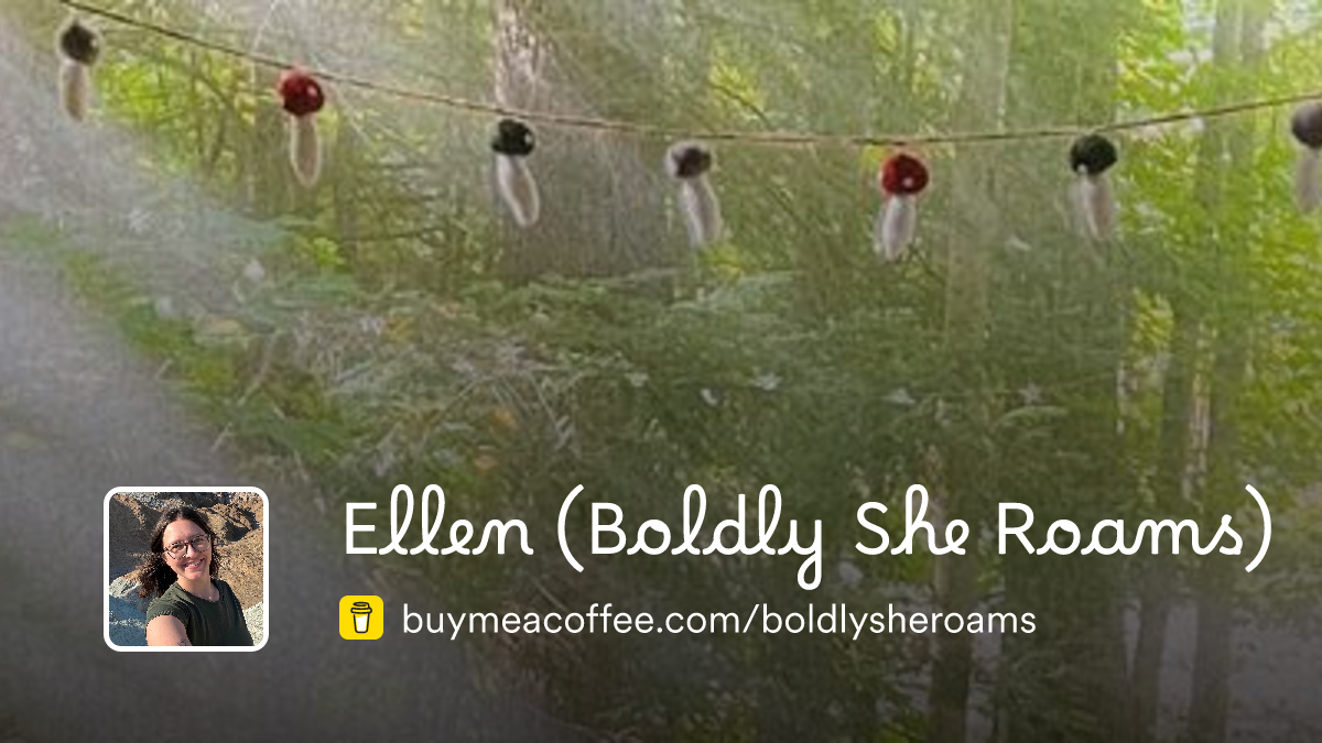 Ellen (Boldly She Roams) is creating YouTube videos about full time solo female travel in an RV ...