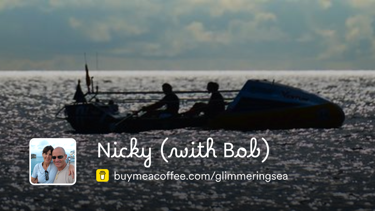 Nicky (with Bob) is rowing the Atlantic Ocean in support of frontline ...