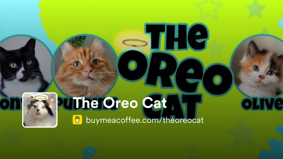 The Oreo Cat is Creating wholesome cat content. - Buymeacoffee