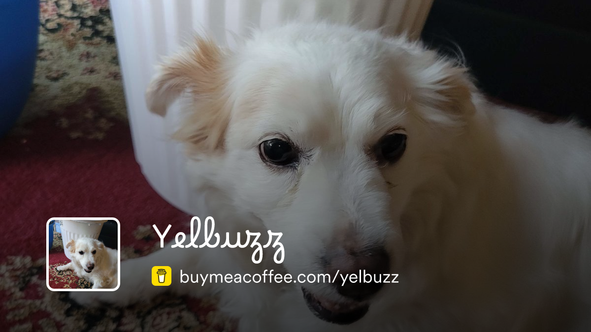 Yelbuzz is creating open source programs! - Buymeacoffee