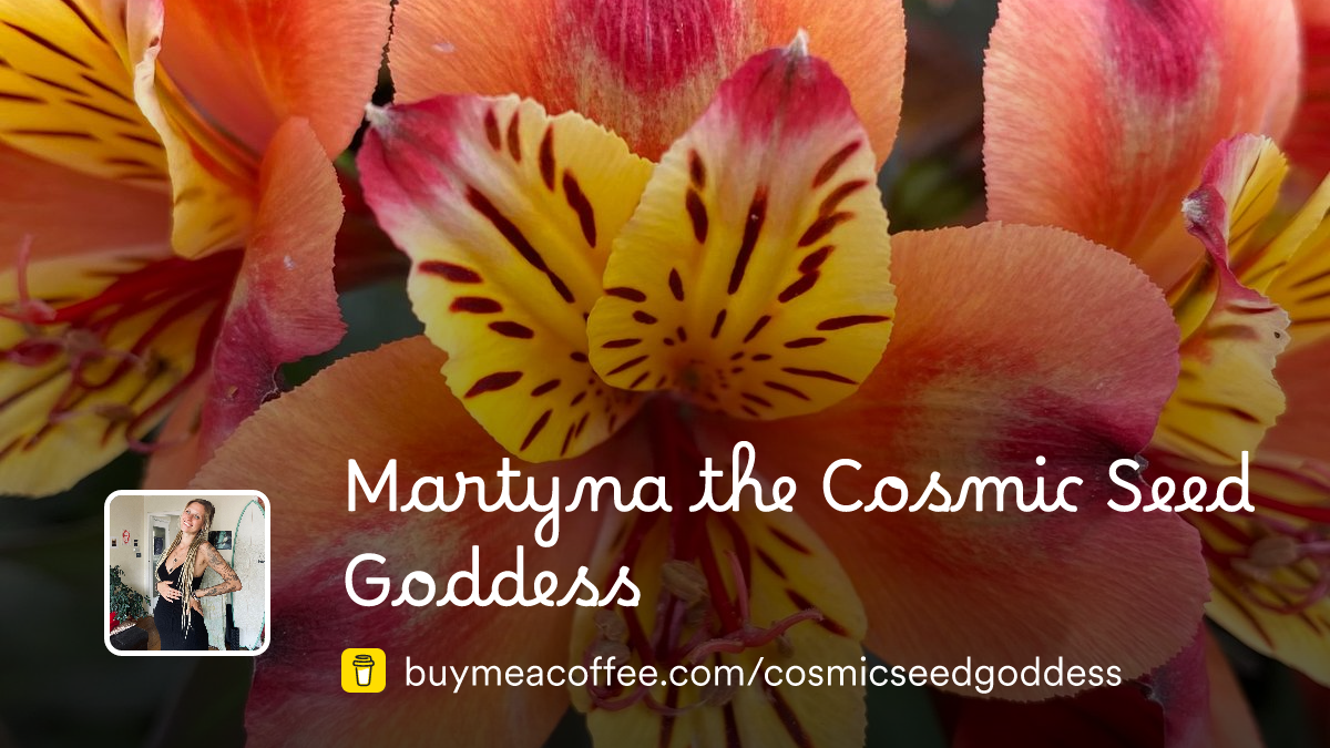 Martyna the Cosmic Seed Goddess is Creating experiences ☺️ - Buymeacoffee